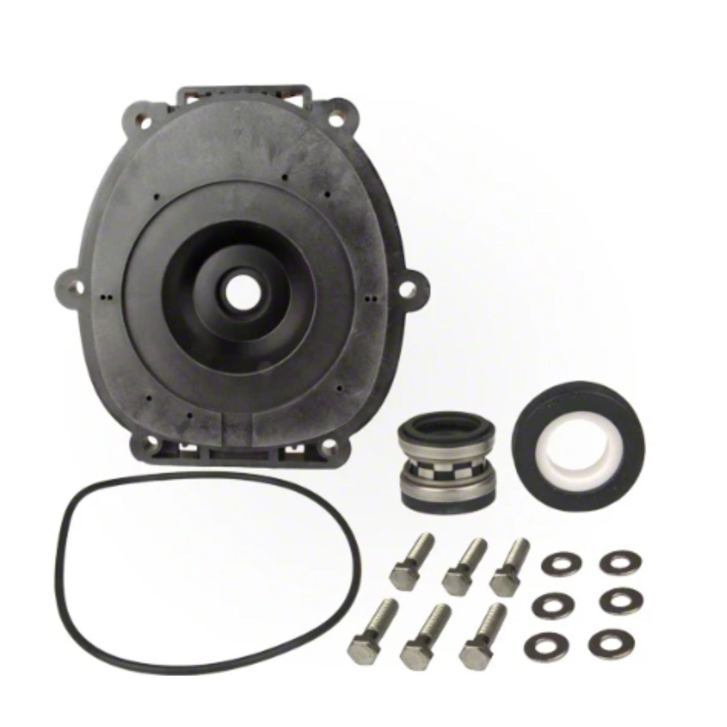 Jandy FloPro FHPM Backplate Kit [R0479500] from MT Pools – MT Pool Distributor