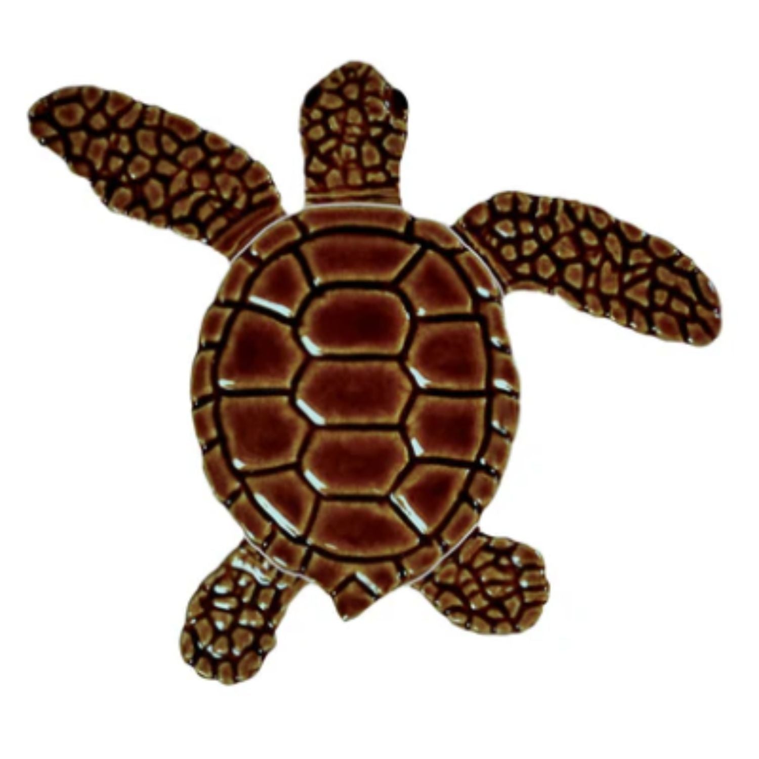 4" Loggerhead Turtle Ceramic Pool Mosaic [TLMBROCB] MT Pools – MT Pool ...